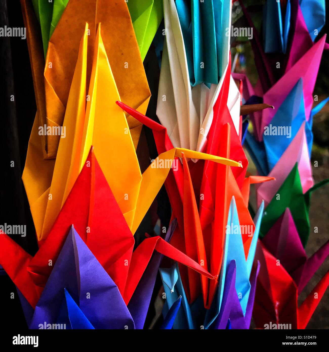 Japanese Paper Cranes Stock Photo Alamy japanese-paper-cranes-stock-photo-alamy