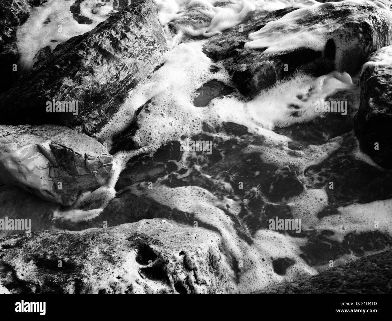 Rock pool life hi-res stock photography and images - Alamy