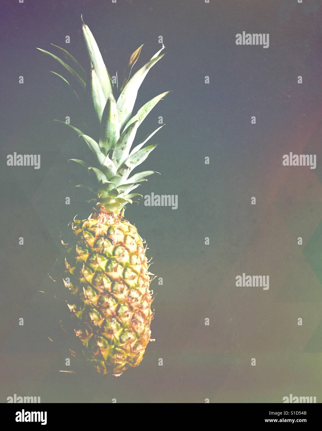 Pineapple on dark background, light filter with yellow tones. Space for ...