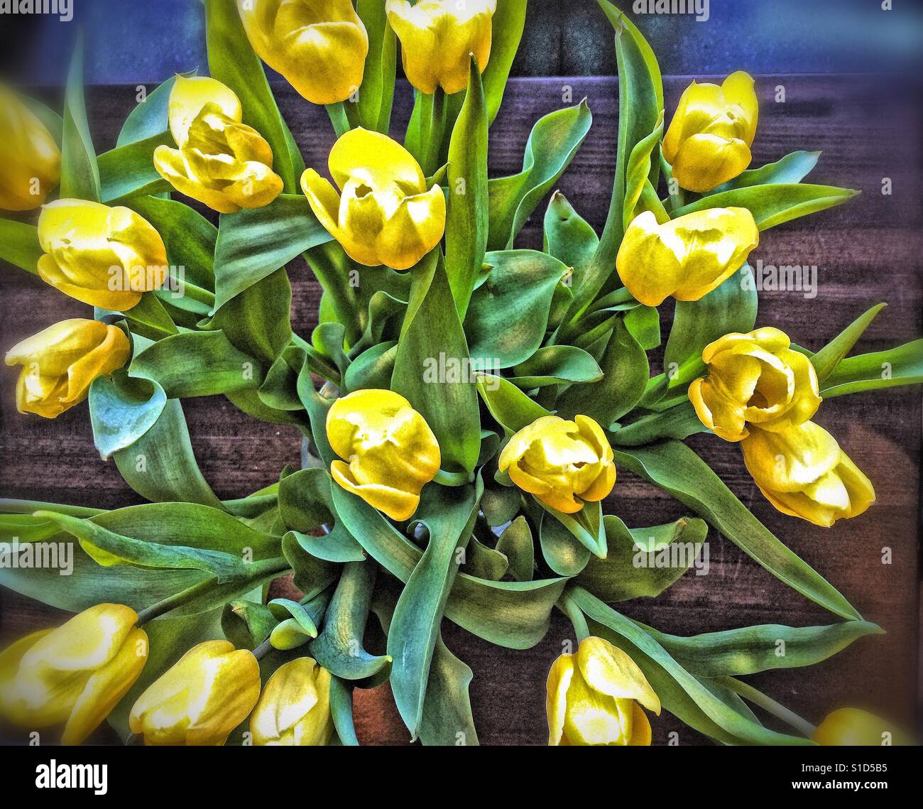 Everyday yellow hi-res stock photography and images - Alamy