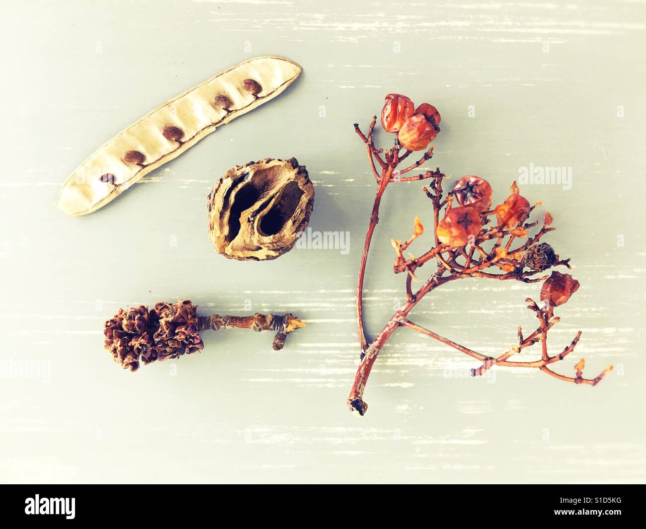 Still life with twigs hi-res stock photography and images - Alamy