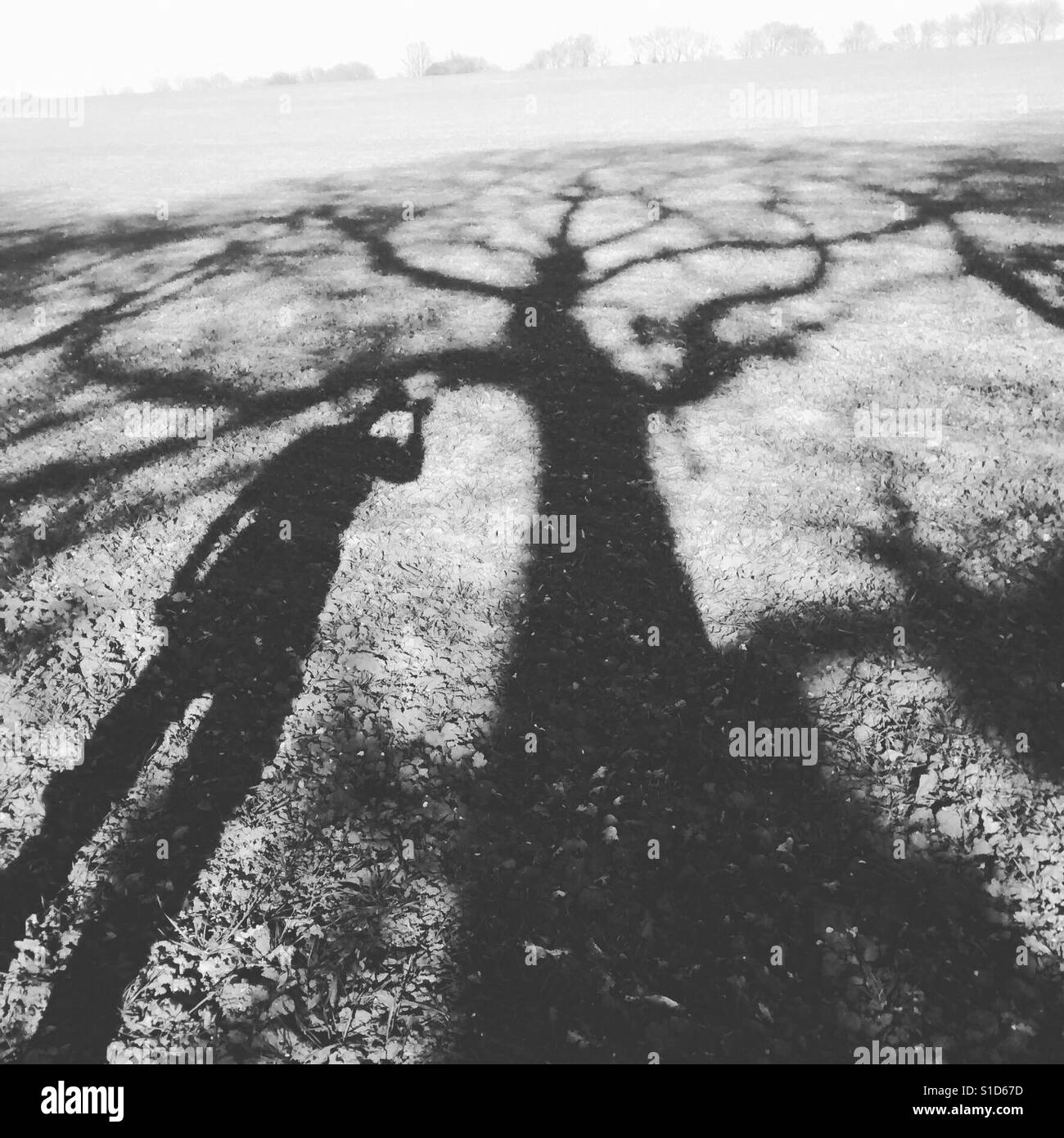 Man shadows Black and White Stock Photos & Images - Alamy