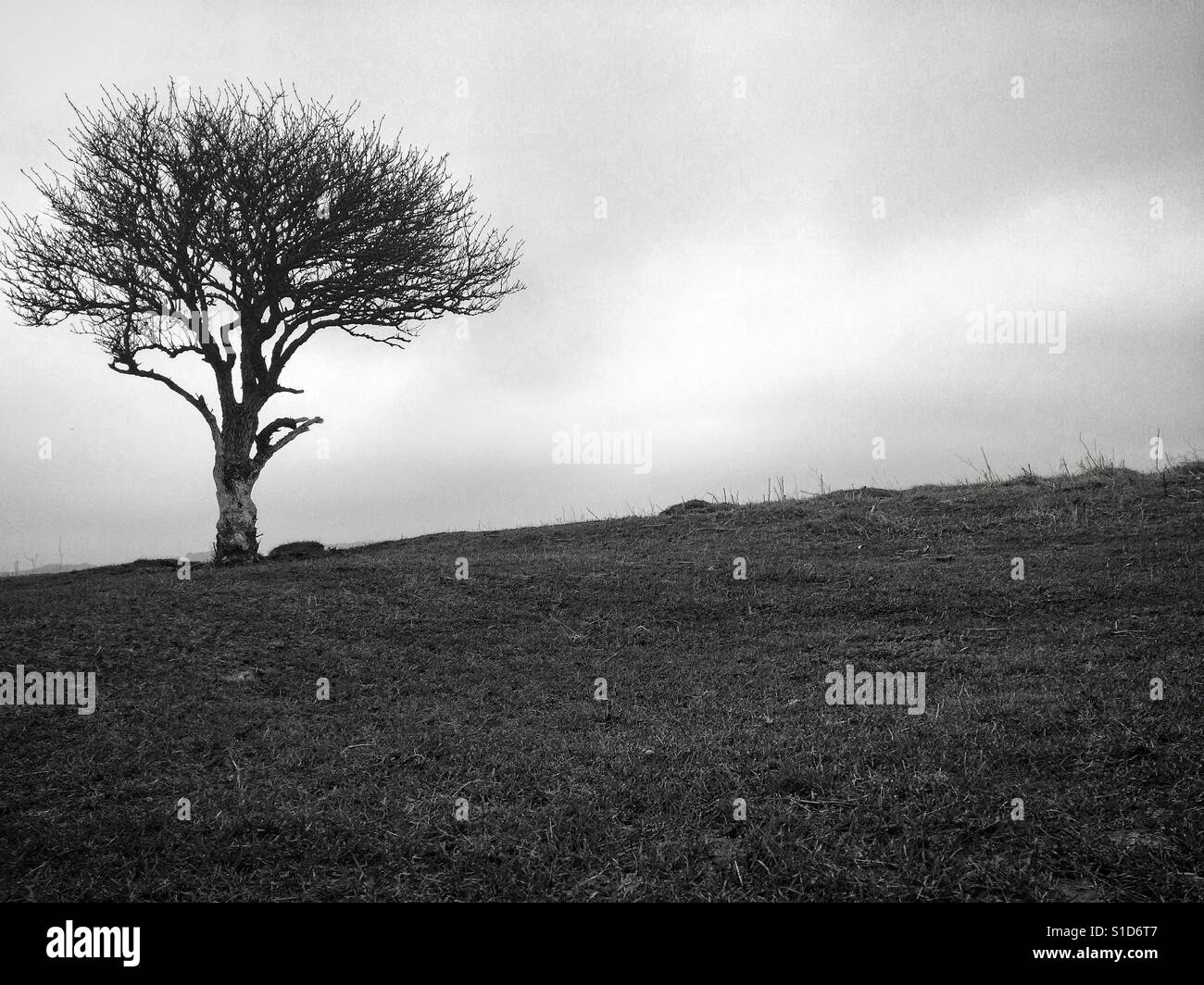 Defiant by nature hi-res stock photography and images - Alamy