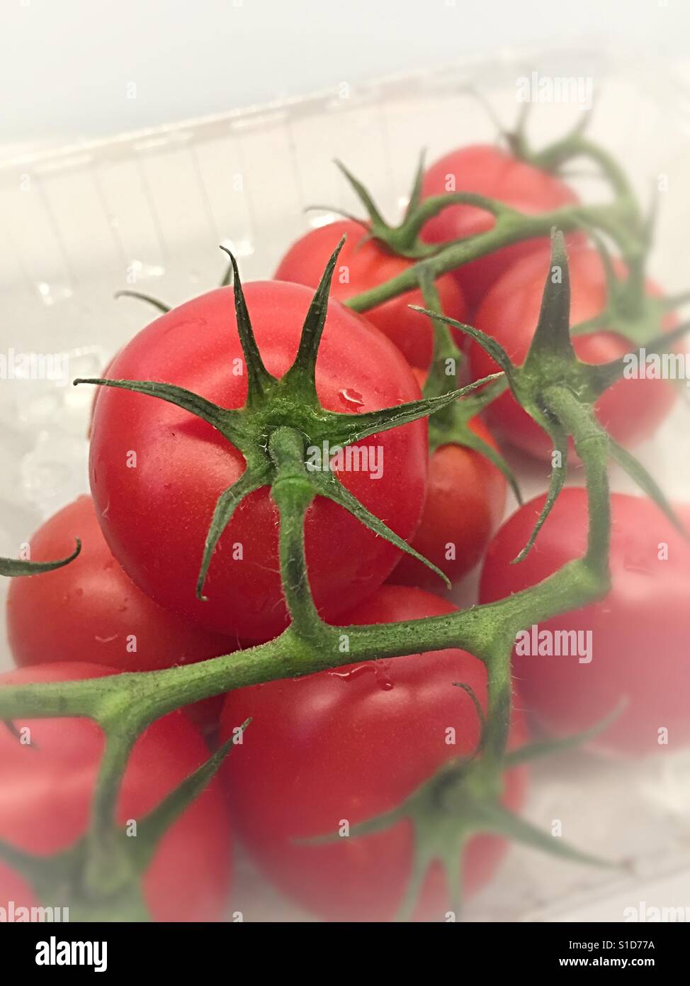Vine ripened tomatoes Stock Photo - Alamy