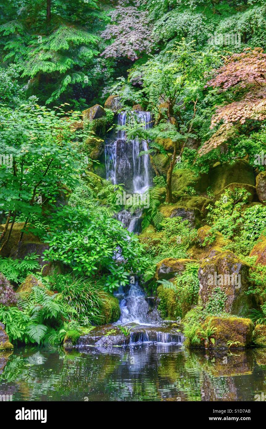 Portland waterfall hi-res stock photography and images - Alamy