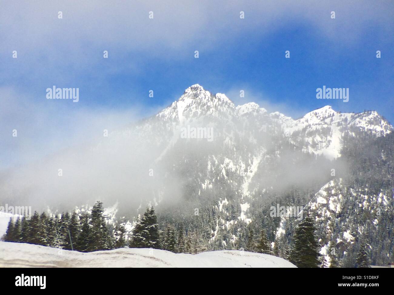 Winter, Denny Mountain, Snoqualmie Pass, Cascade Range, Washington ...