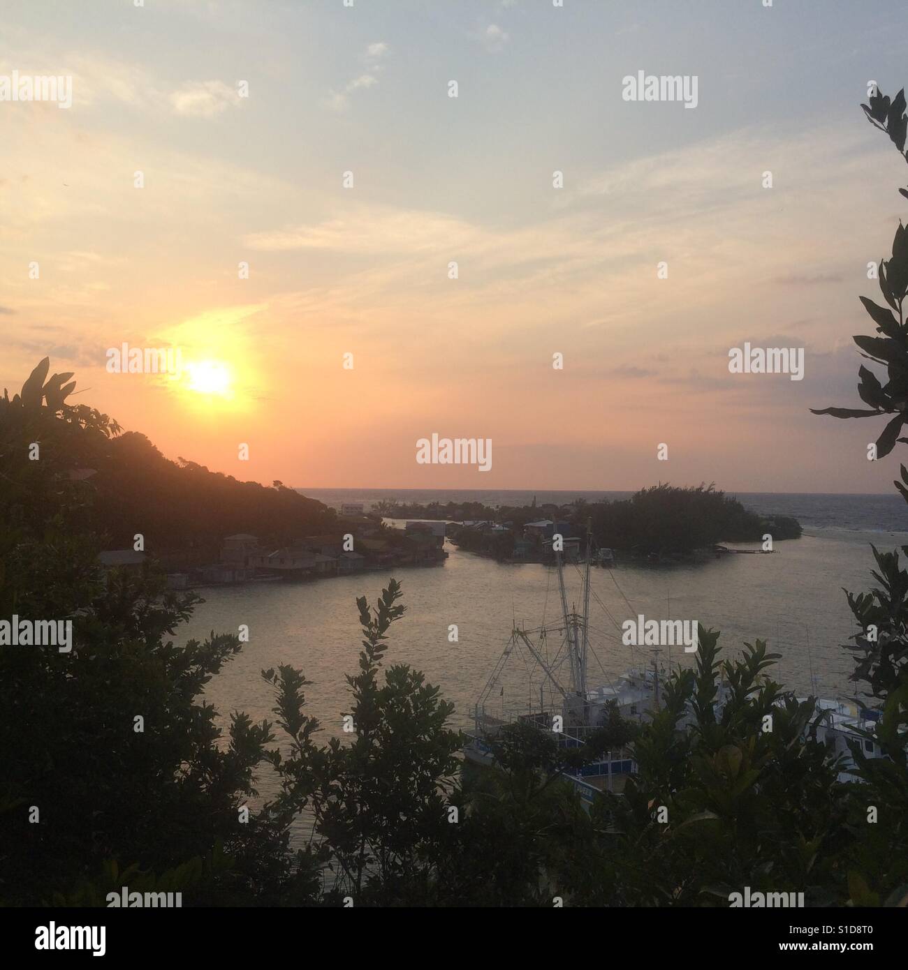 Oak ridge roatan island hi-res stock photography and images - Alamy