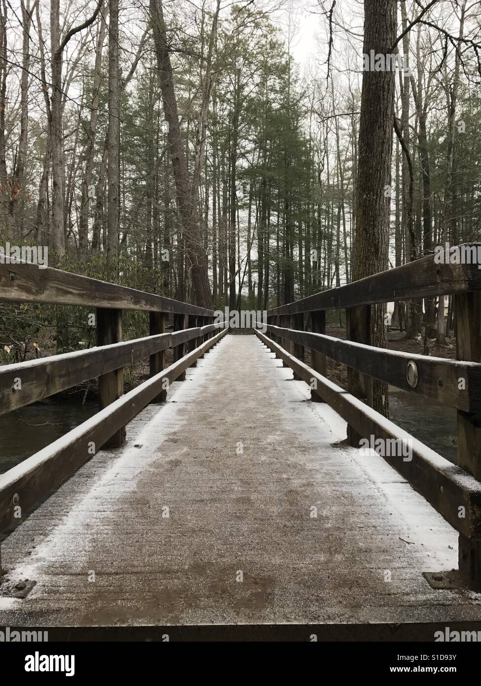 Abrams falls bridge Stock Photo - Alamy
