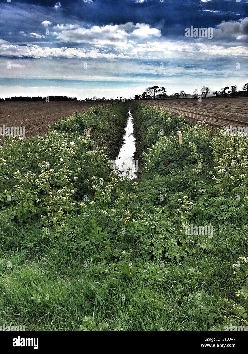 Irrigation farming hi-res stock photography and images - Alamy