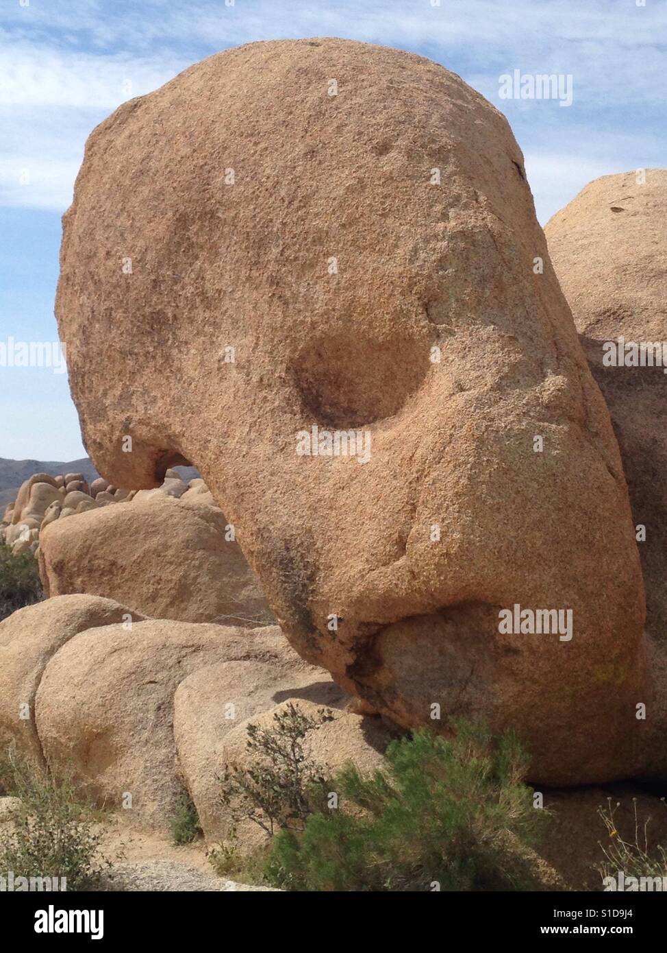 Tank tree hi-res stock photography and images - Alamy