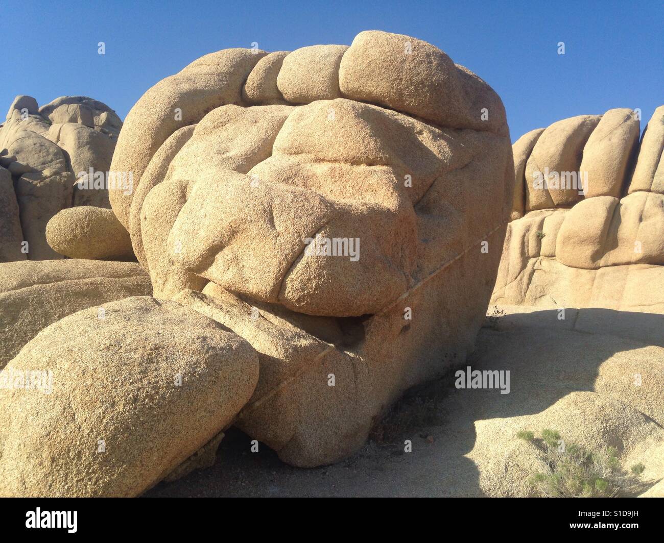 Lion head rock hi-res stock photography and images - Alamy