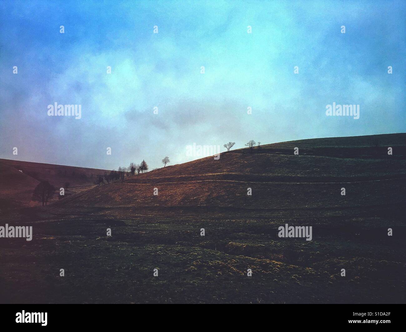 Trees and sky horizon hi-res stock photography and images - Alamy