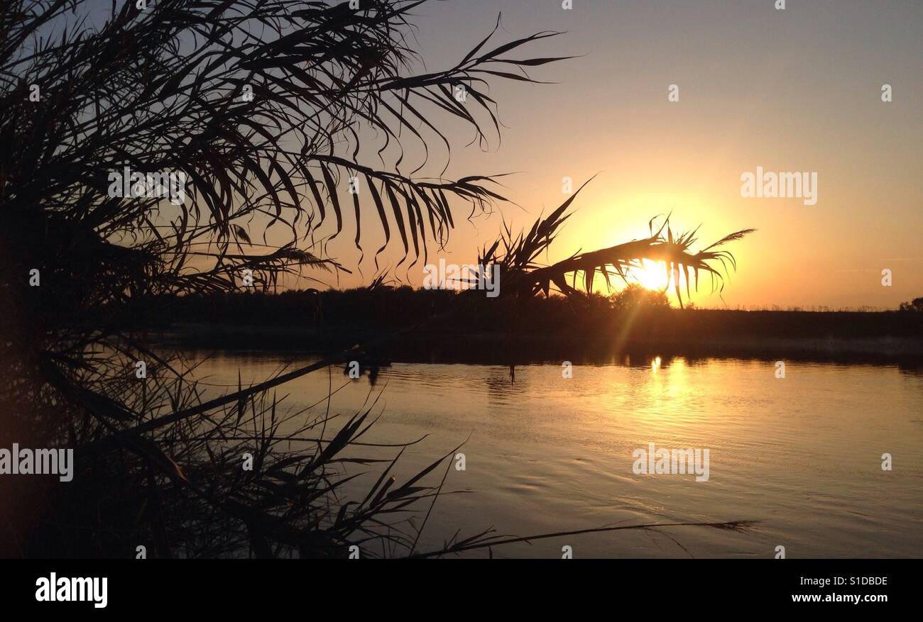 Grass water sun hi-res stock photography and images - Alamy