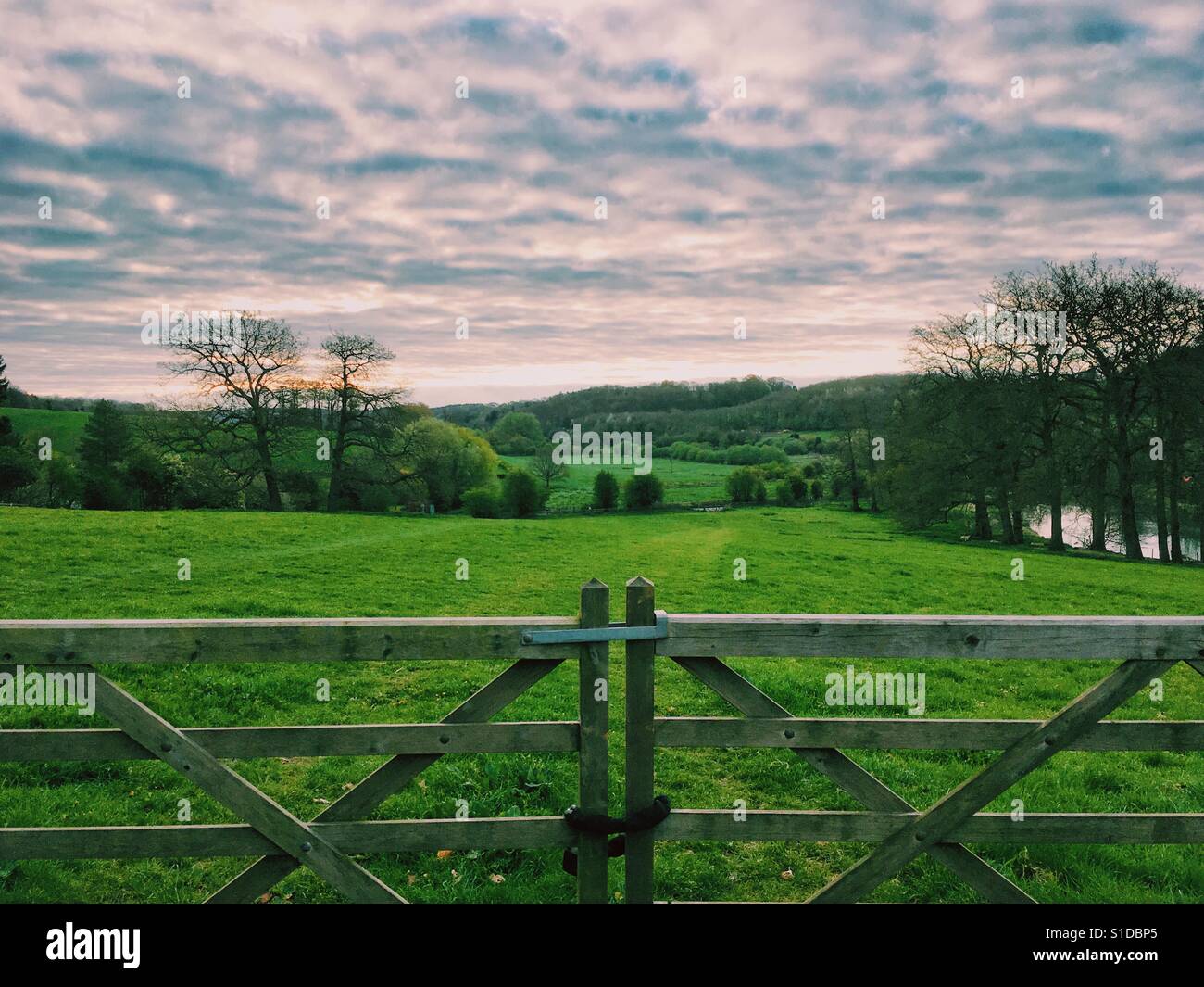 Field gate countryside view hi-res stock photography and images - Alamy