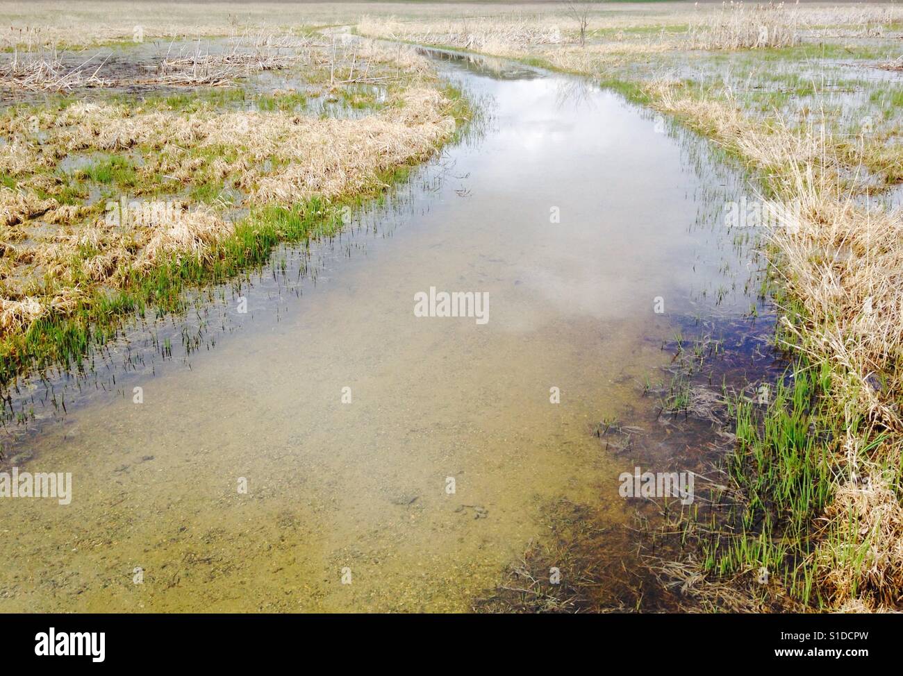 The obstacle is the path hi-res stock photography and images - Alamy