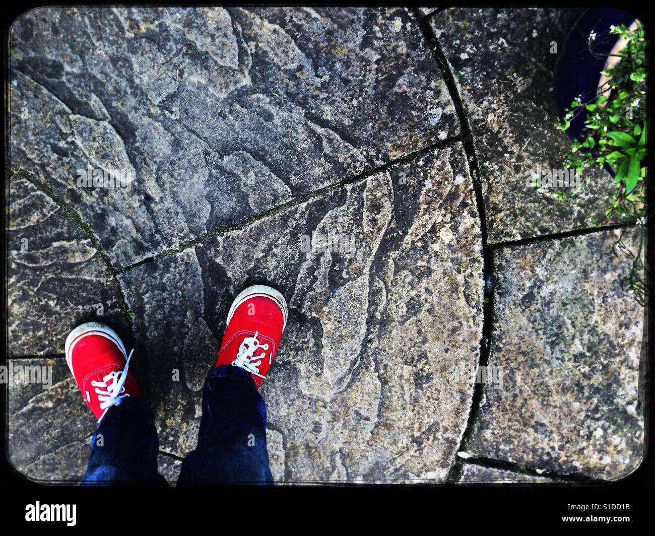 Standing in two feet hi-res stock photography and images - Alamy
