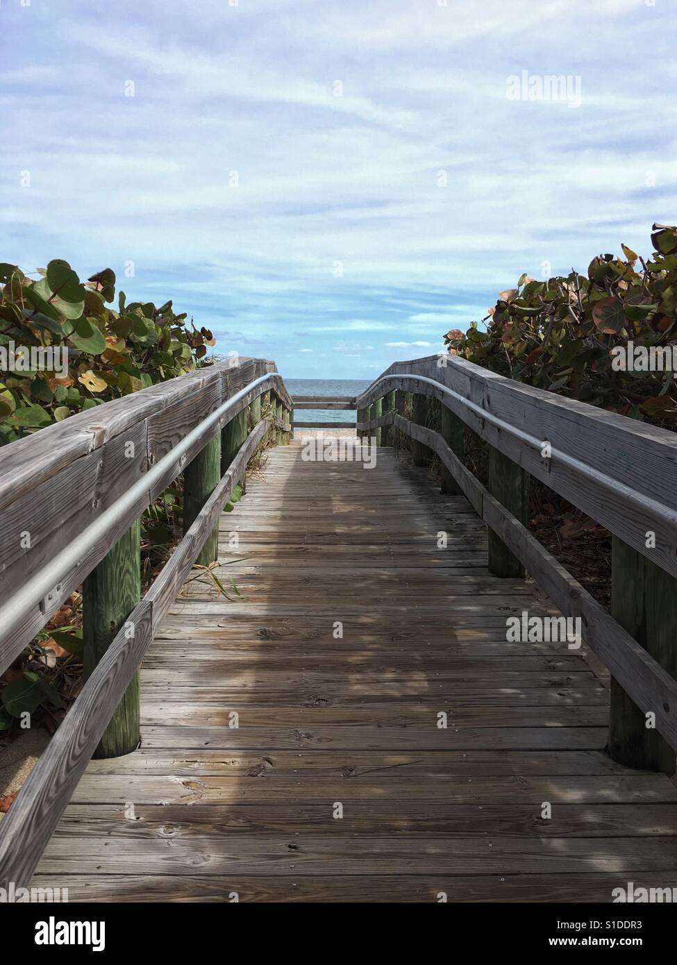 Path to the beach. West Palm Beach, Florida Stock Photo - Alamy