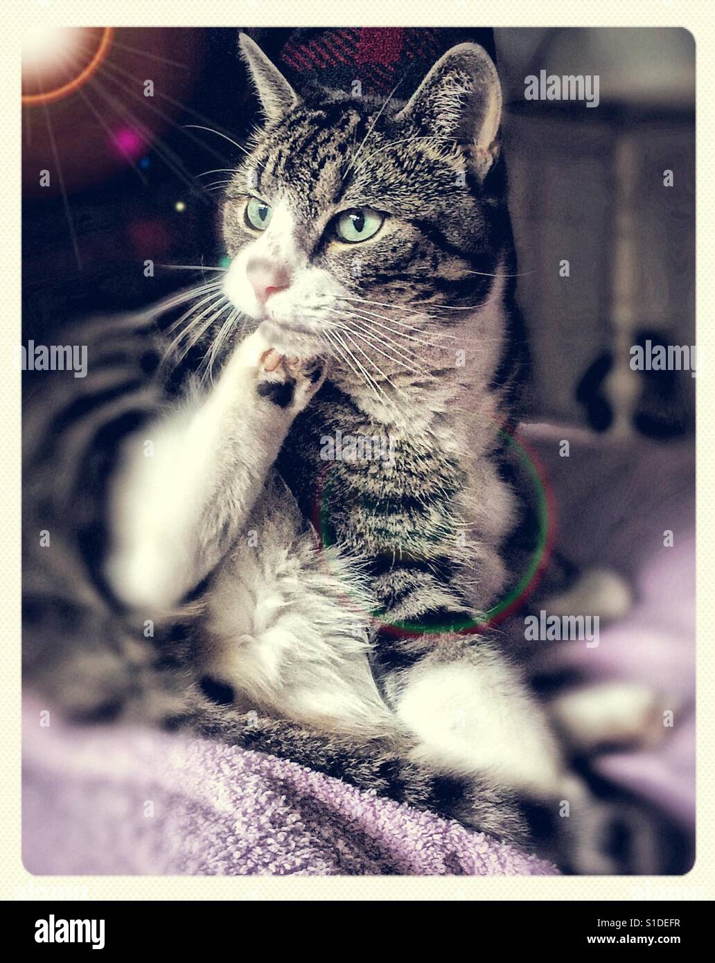 Philosophy of everyday life hi-res stock photography and images - Alamy