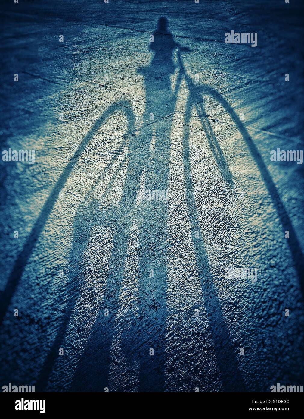 Shadow from a bike on a road Stock Photo - Alamy