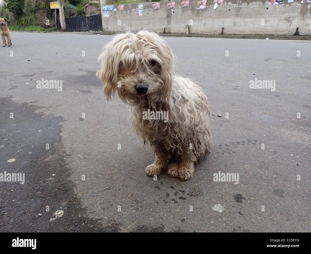 Pan handlers hi-res stock photography and images - Alamy