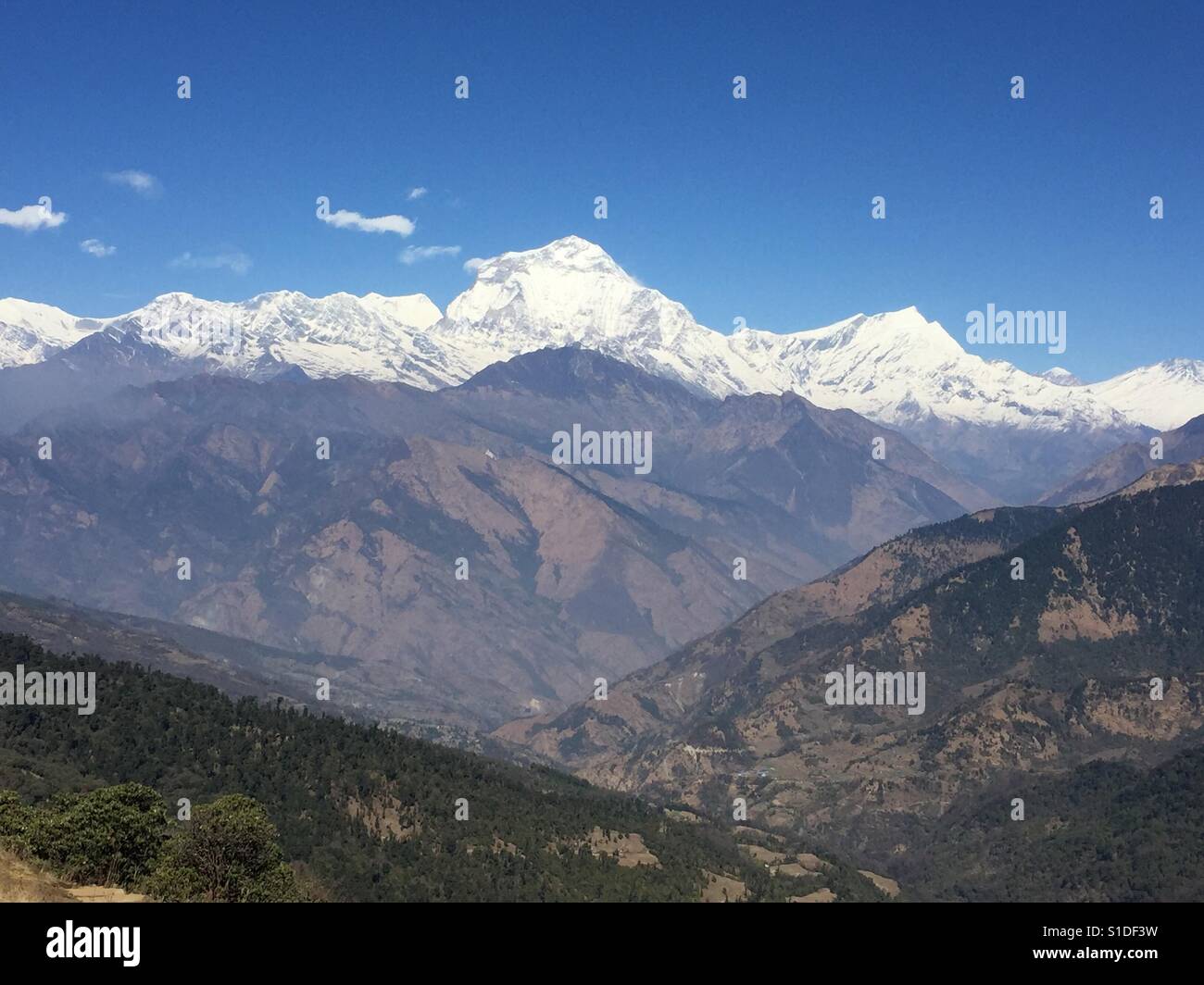 The Annapurna ridge line from a great view point Stock Photo - Alamy
