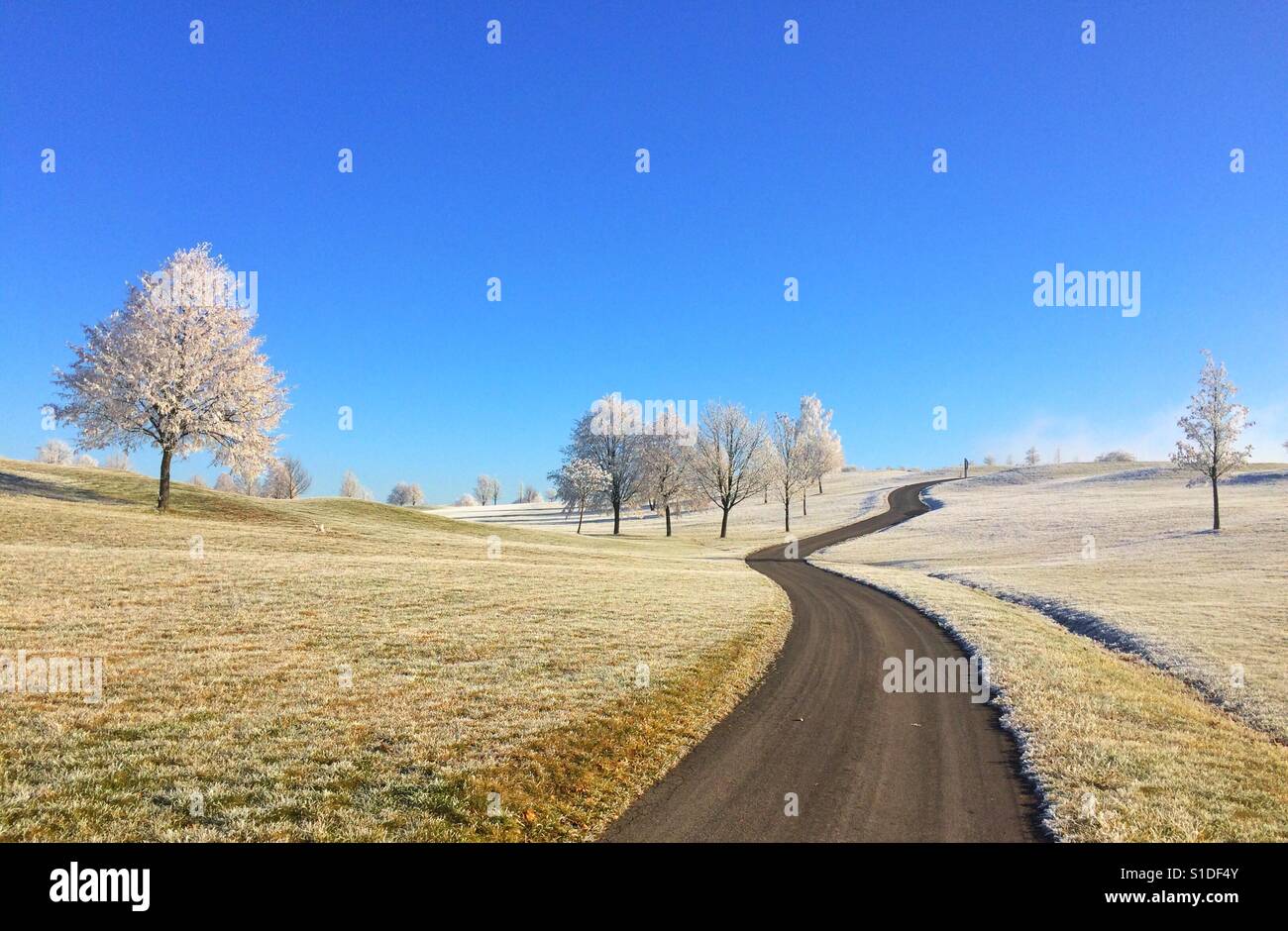 Golf course road hi-res stock photography and images - Alamy