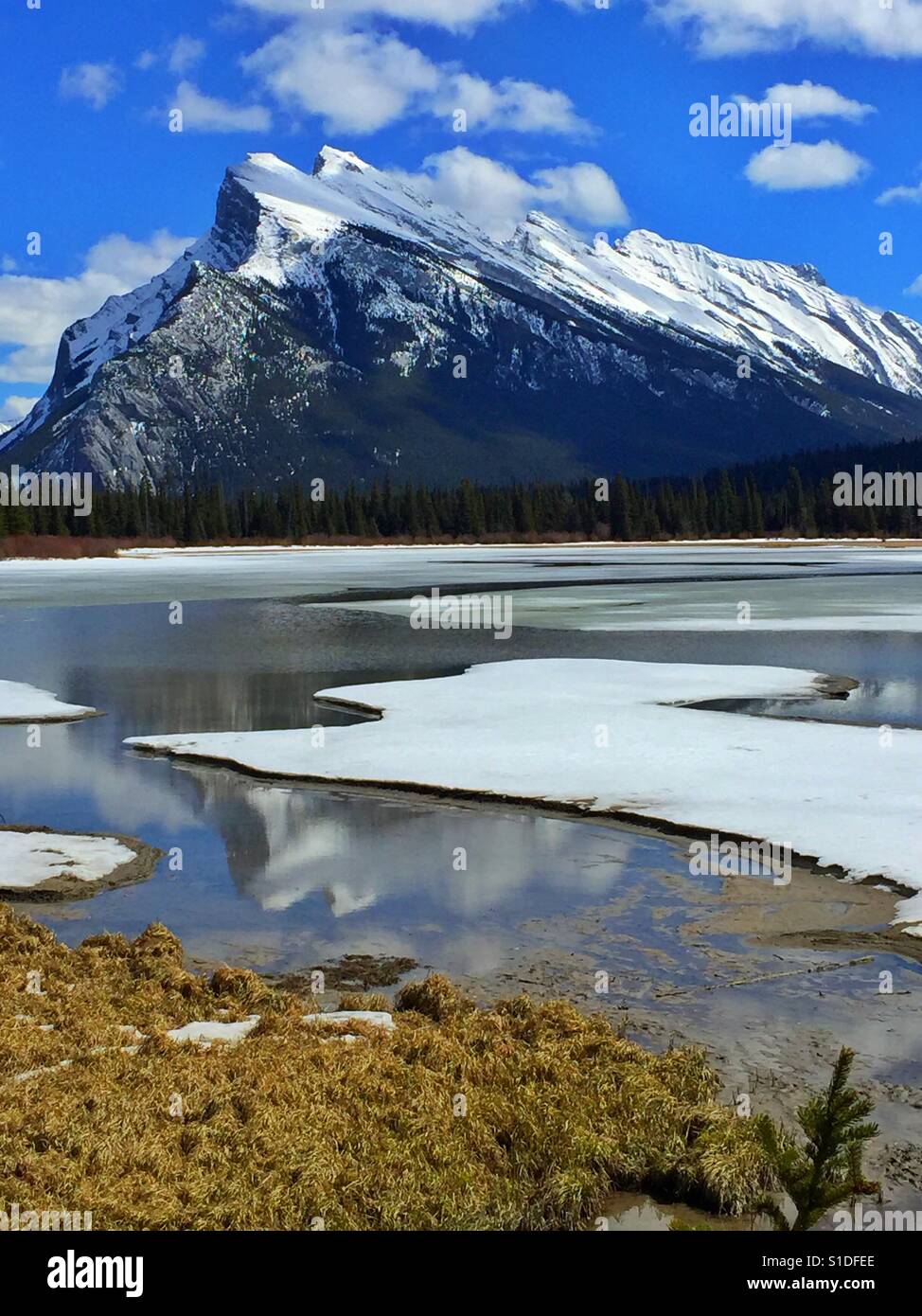 Mt. Rundle and Vermillion Lakes, Banff National Park, Alberta, Canada ...