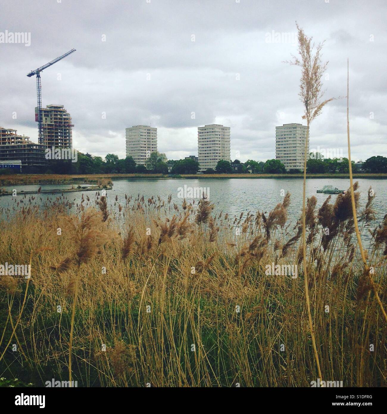 Nature and progress hi-res stock photography and images - Alamy