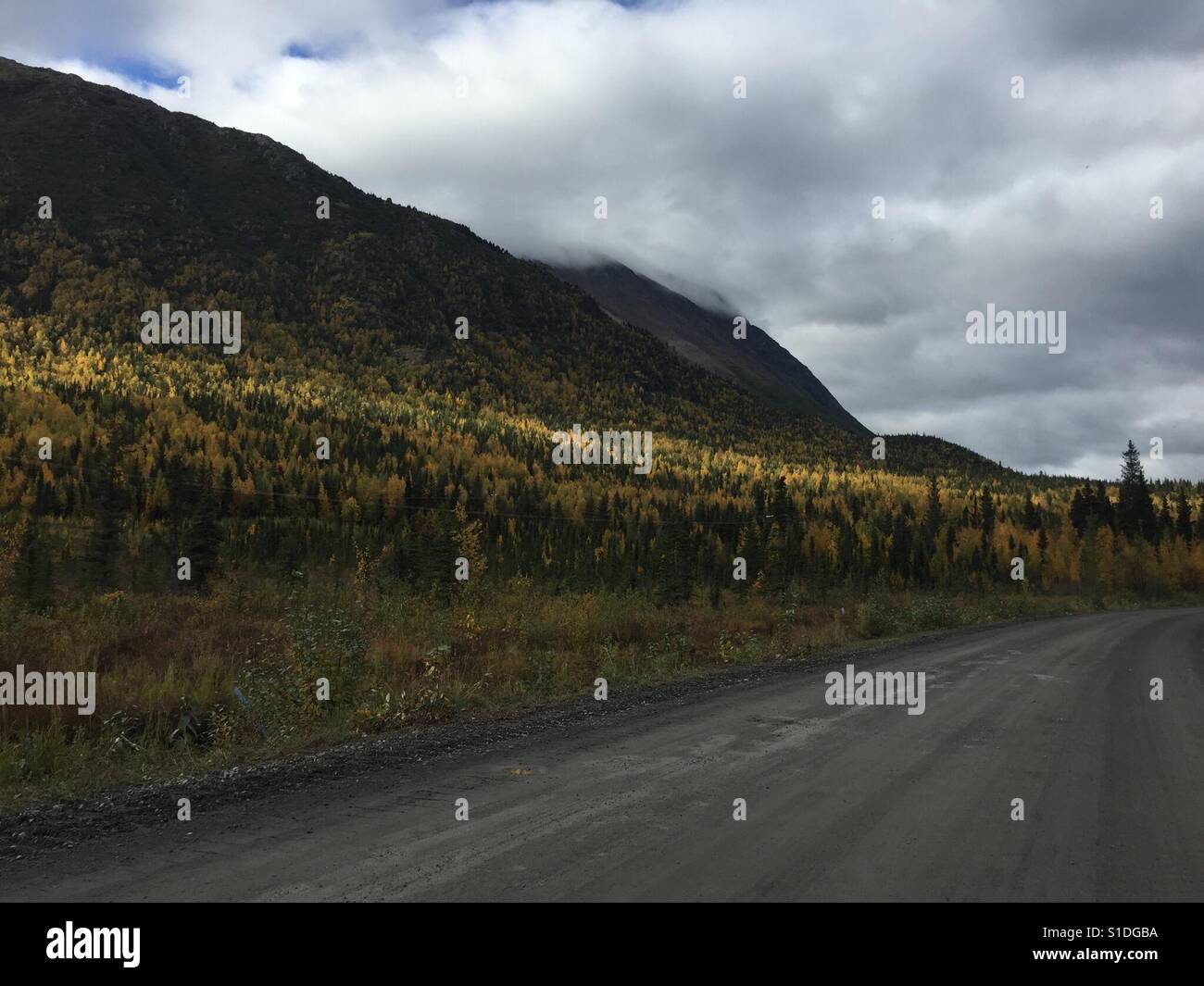 Alaska hillside hi-res stock photography and images - Alamy