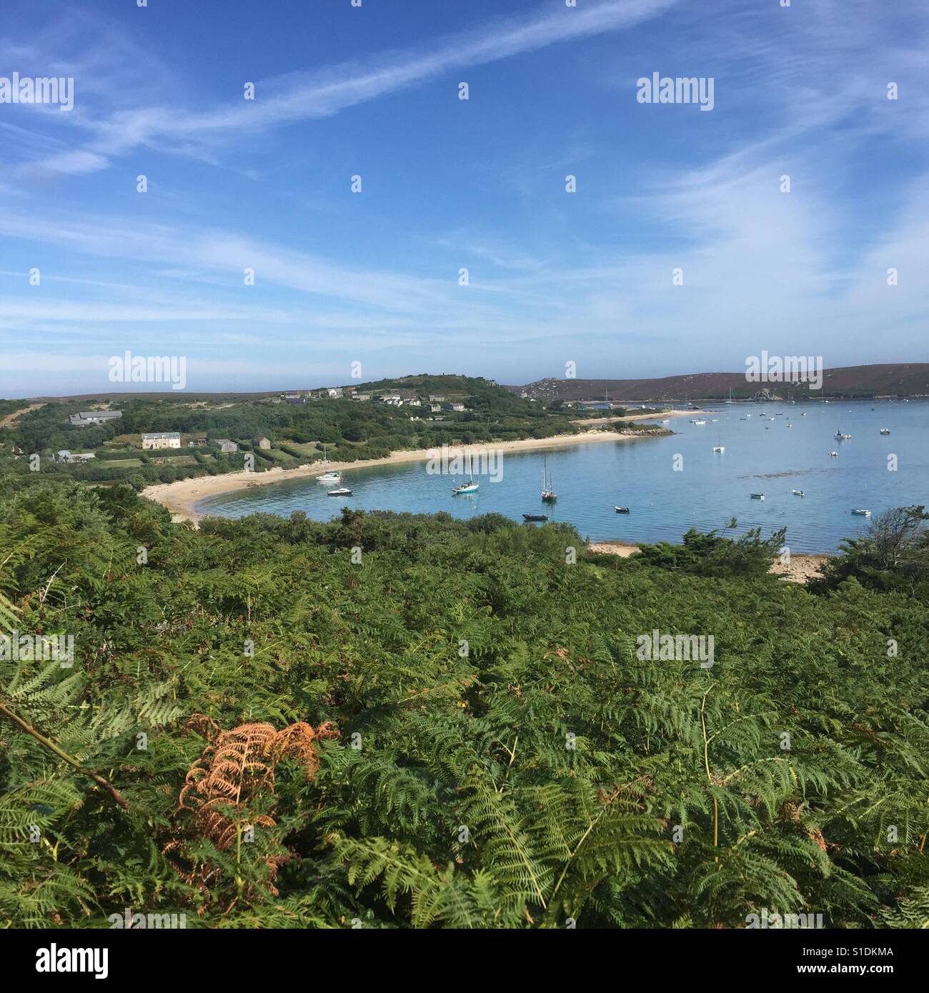 Bryer hi-res stock photography and images - Alamy