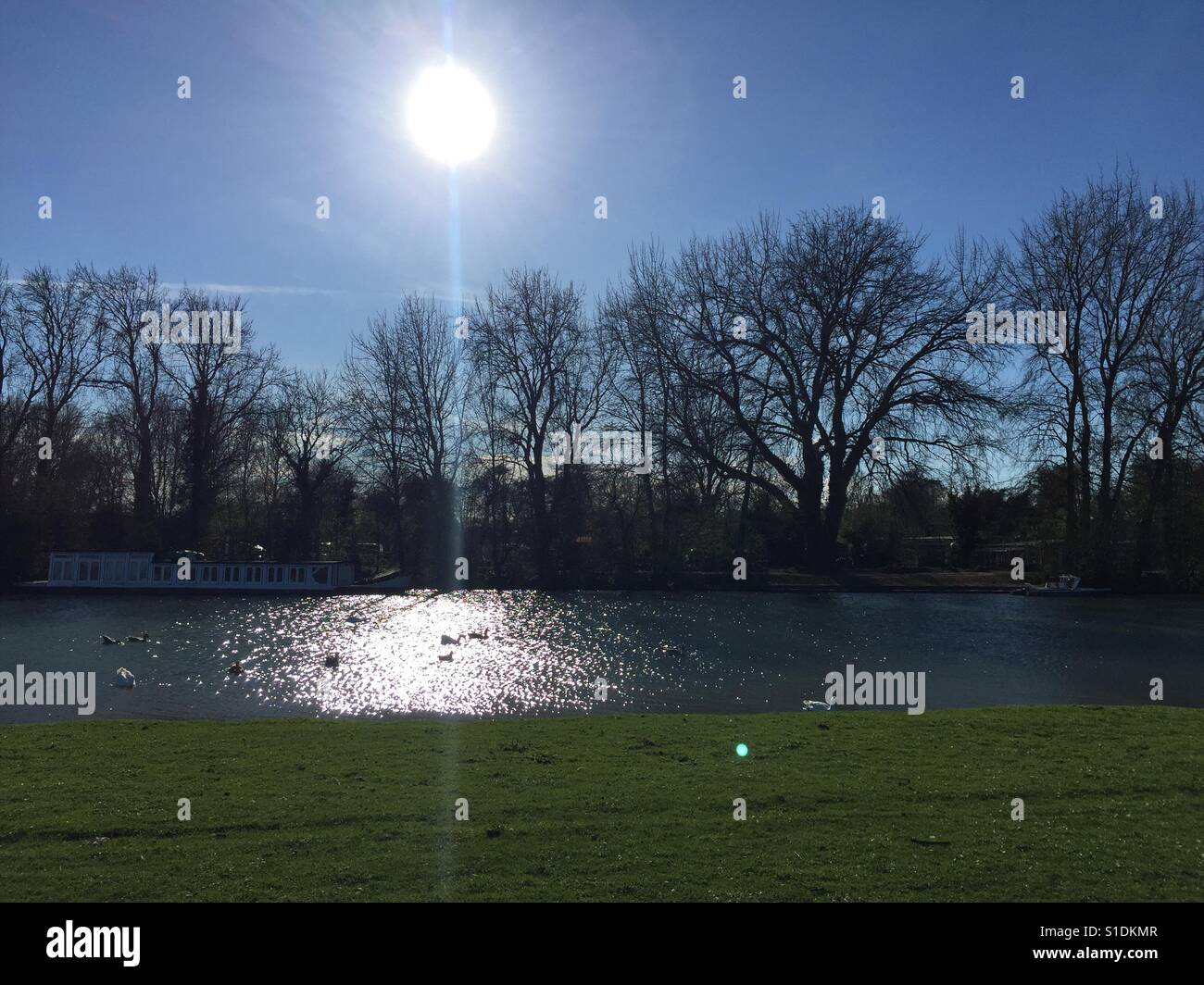 The Thames in Port Meadow, Oxford Stock Photo - Alamy