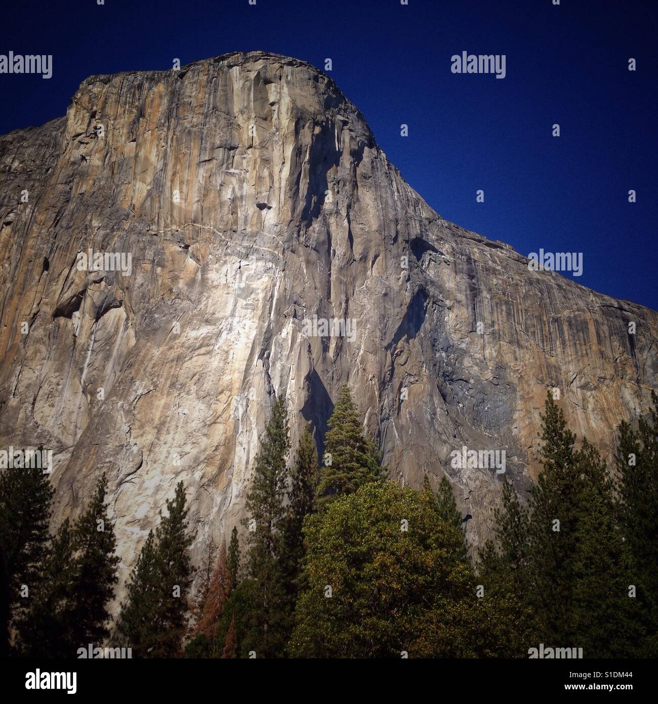 El capitan mountain from valley floor hi-res stock photography and ...