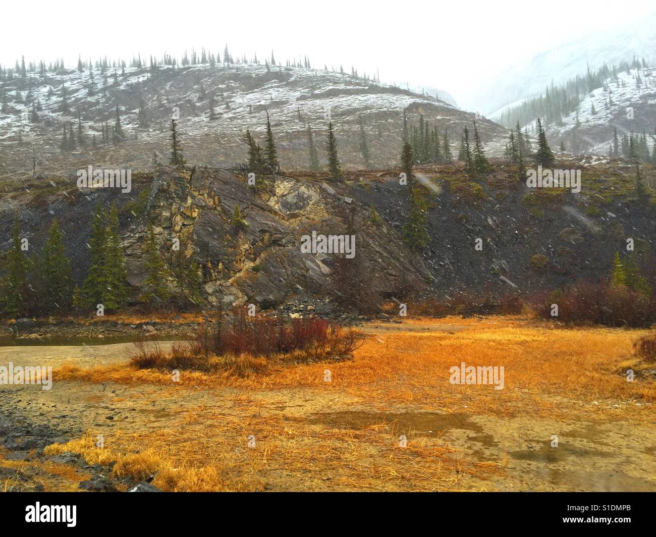 Winter wilderness area in Jasper National Park, Canada Stock Photo - Alamy
