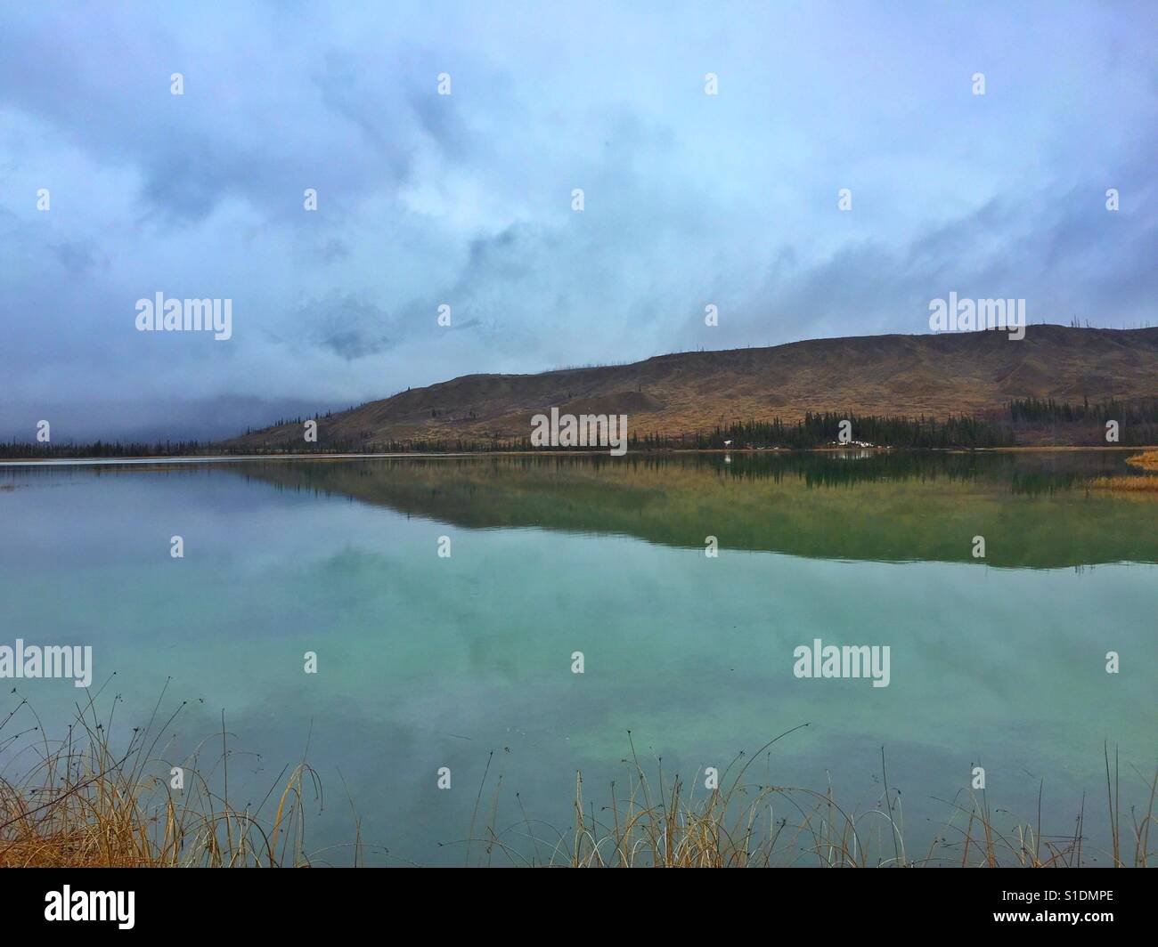 Roadside lake in Jasper National Park, Canada Stock Photo - Alamy