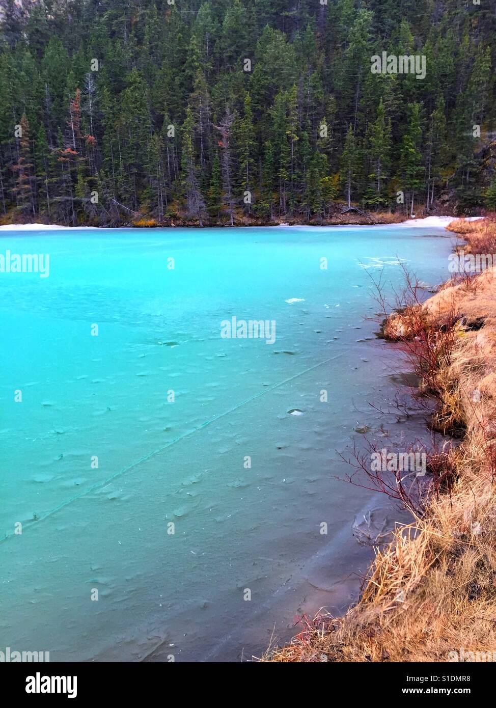 Frozen Aqua coloured Roadside lake in Jasper National Park, Canada ...