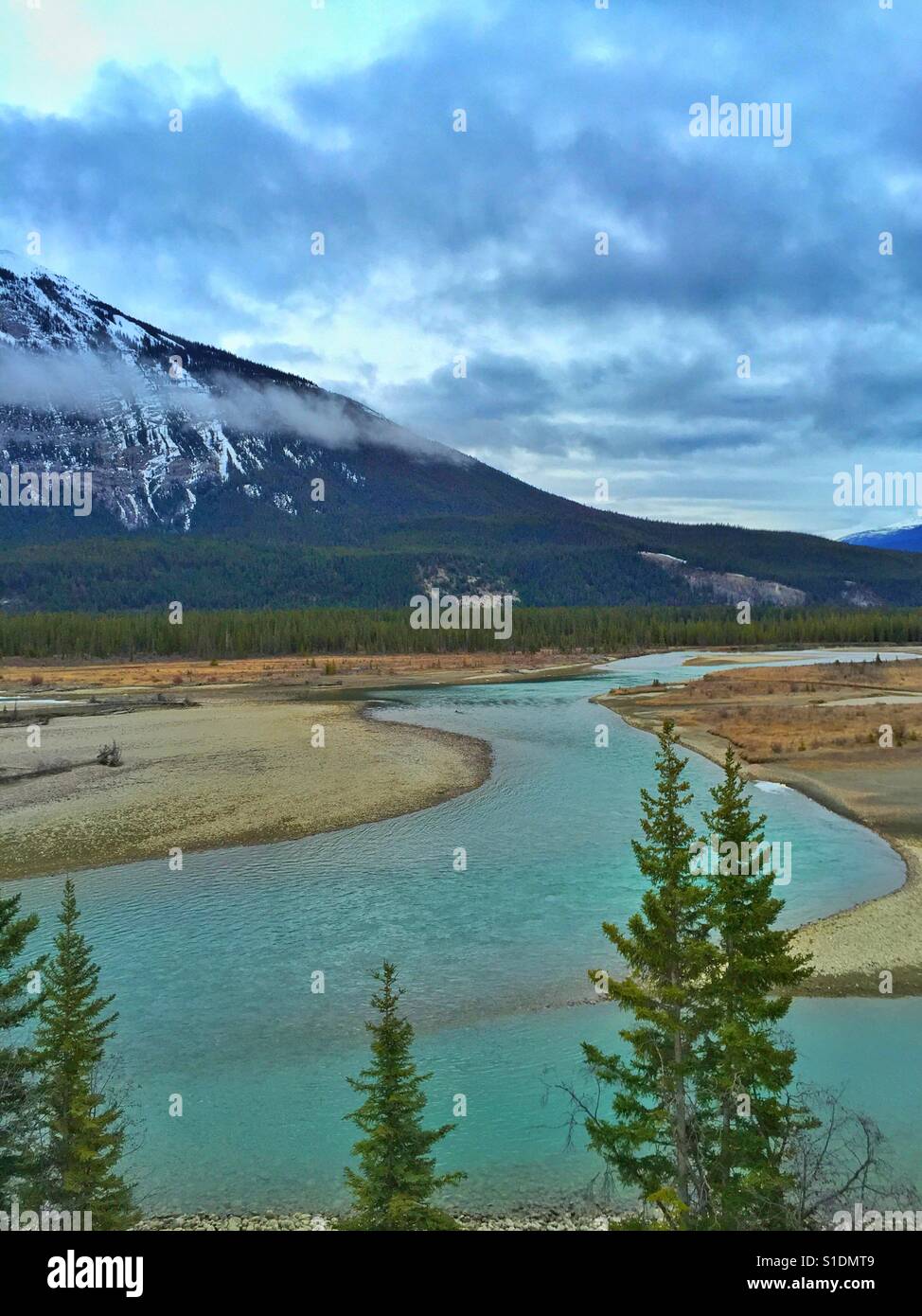 Saskatchewan River in Jasper National Park, Alberta, Canada Stock Photo ...