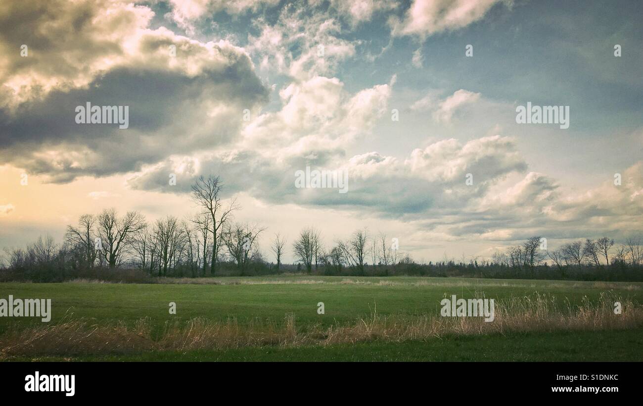 16x9 crop hi-res stock photography and images - Alamy