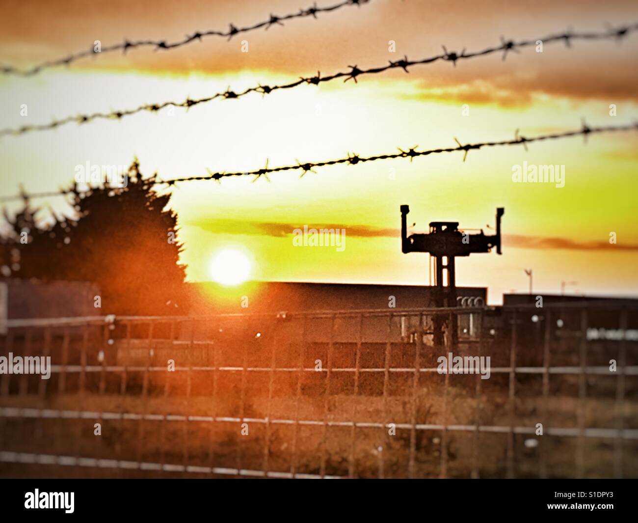 Muscle sun hi-res stock photography and images - Alamy