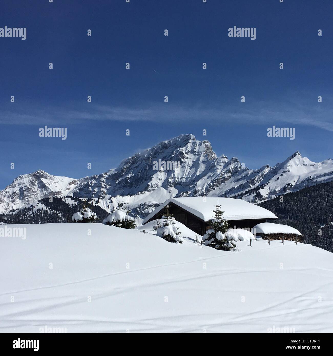 Cabin buried by snow hi-res stock photography and images - Alamy