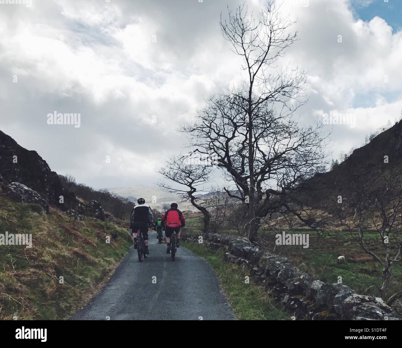 Country road in spring hi-res stock photography and images - Alamy