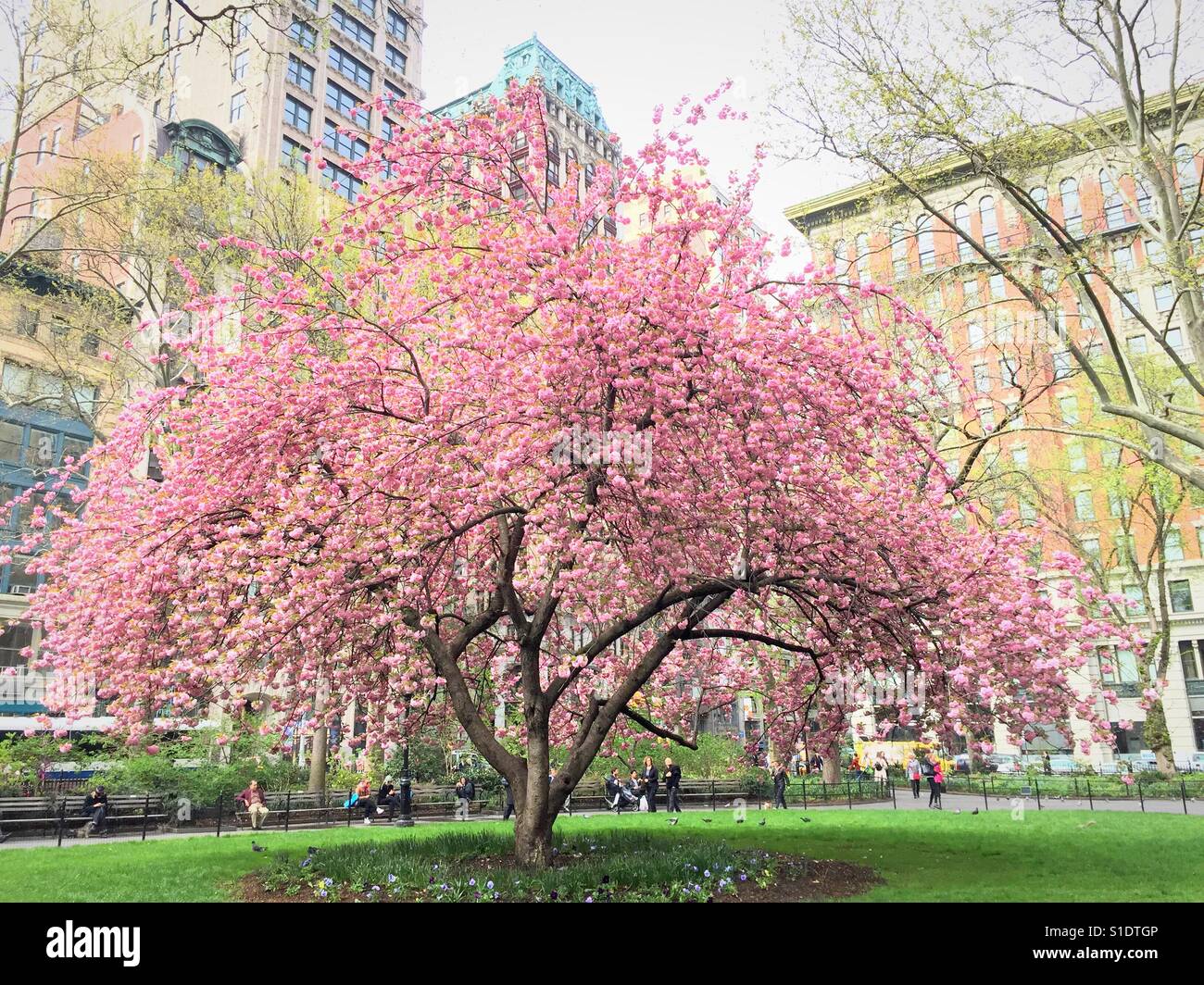 Kwanzaa hi-res stock photography and images - Alamy