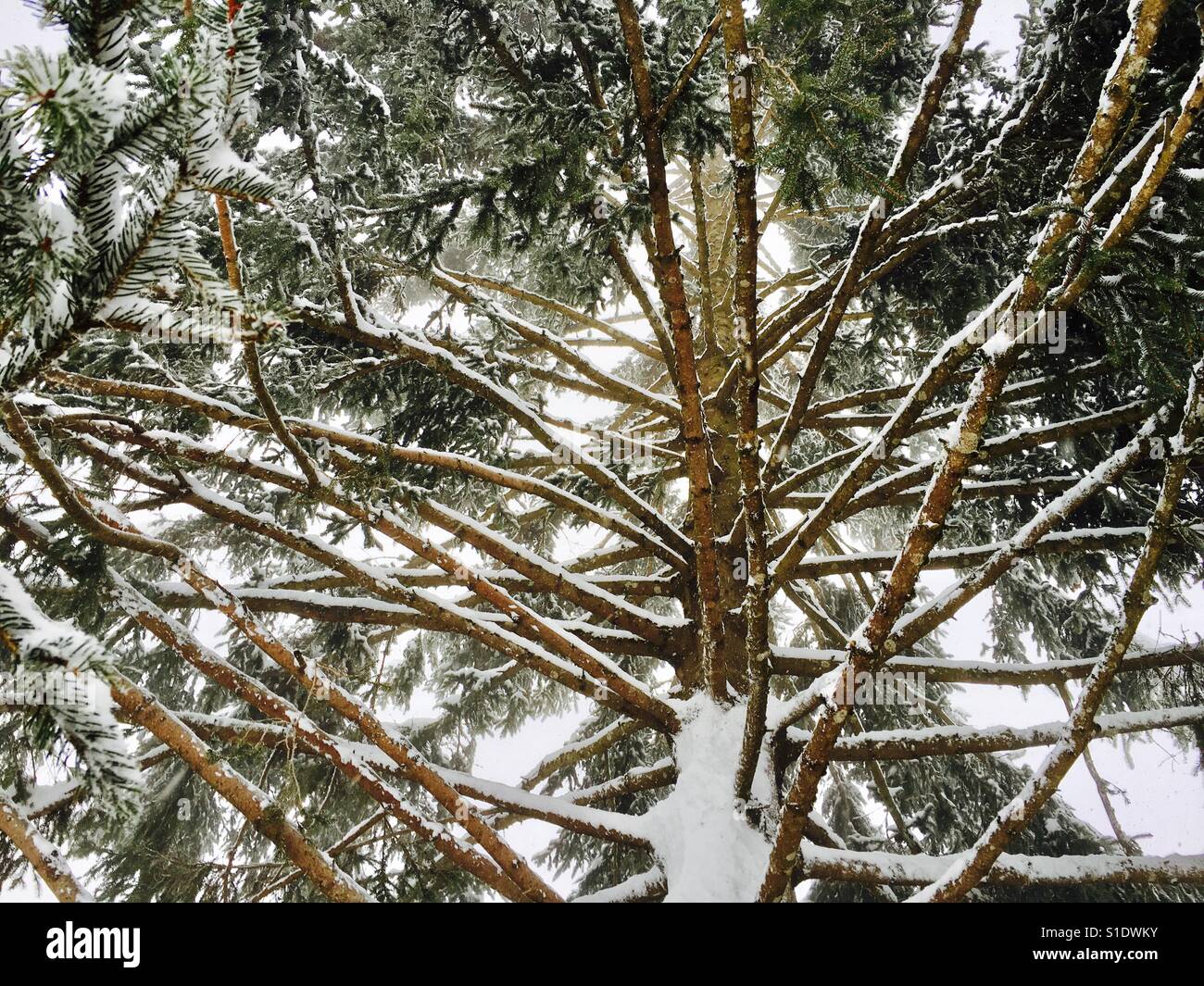 Alpine setting hi-res stock photography and images - Alamy