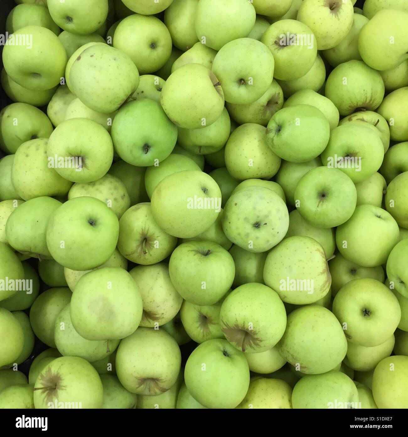 Green apple background template Stock Photo - Alamy