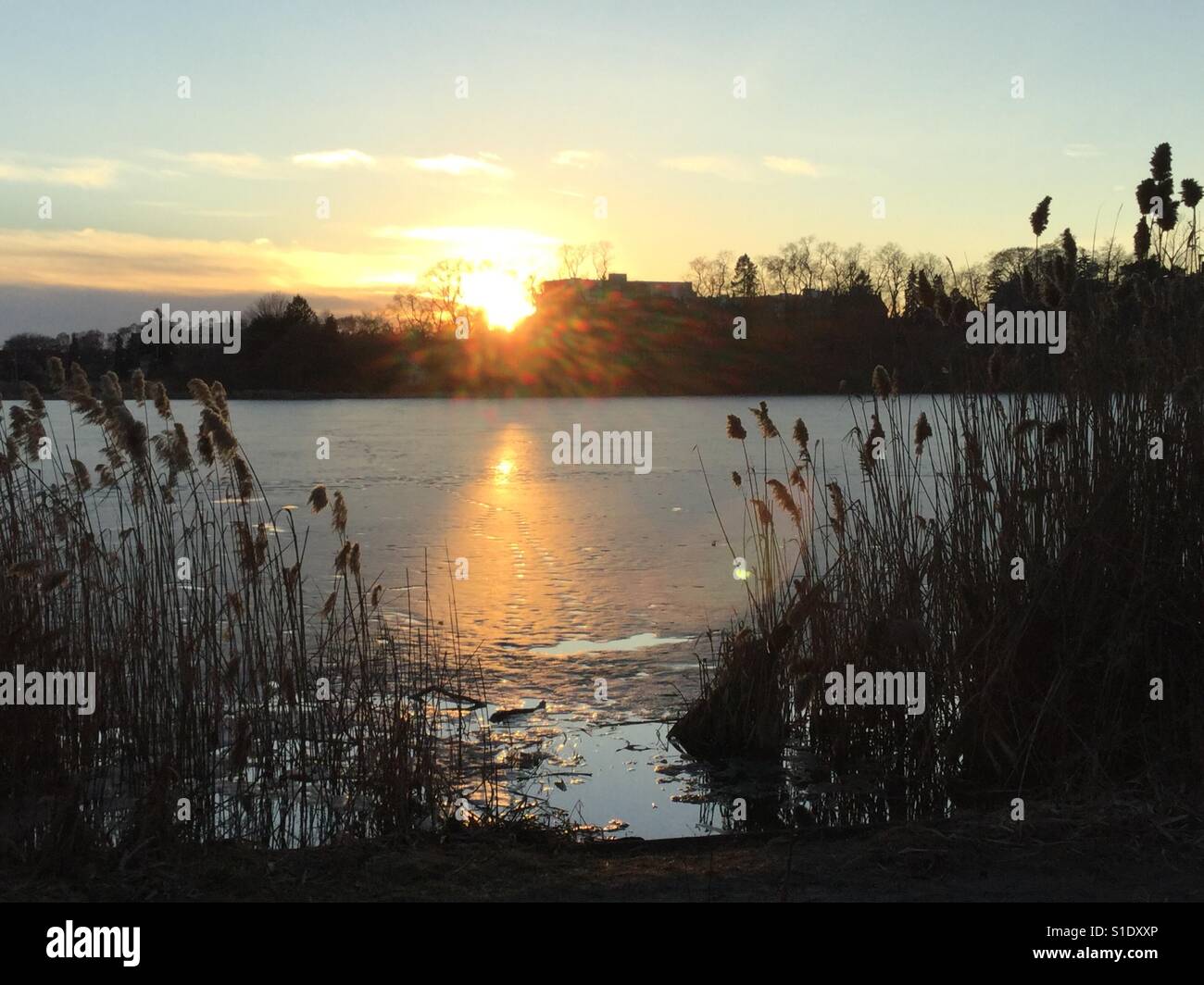 Sunset over Grenadier Pond in High Park, Toronto Stock Photo - Alamy