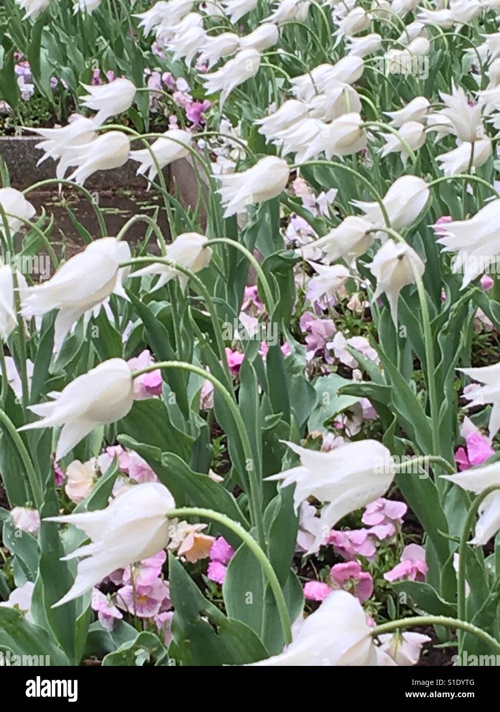 Community one hi-res stock photography and images - Alamy