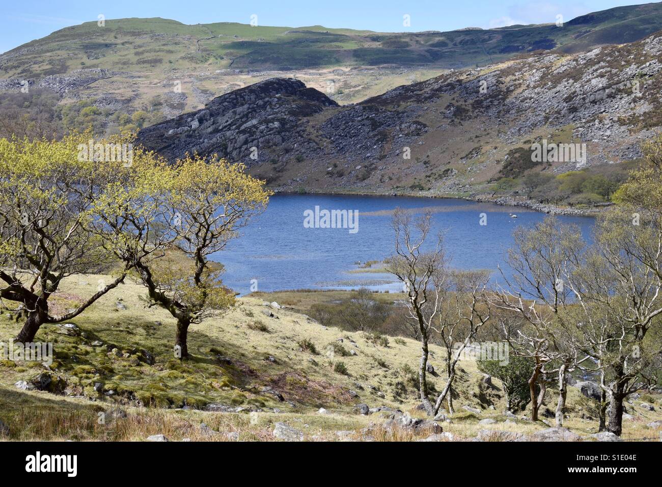 The roman steps hi-res stock photography and images - Alamy
