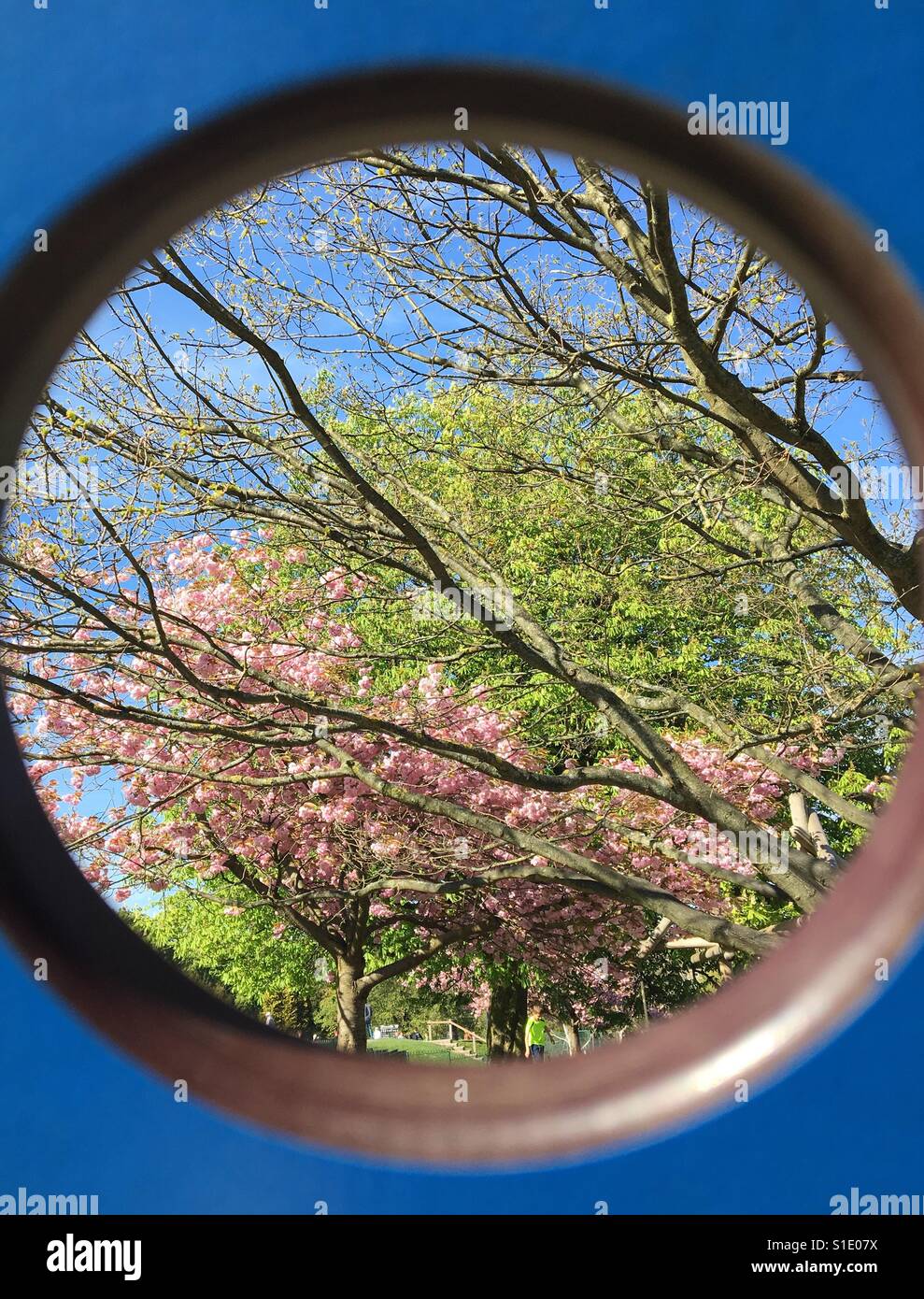 I spy Spring Stock Photo - Alamy