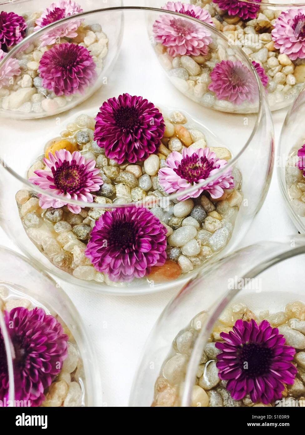 Fishbowl hi-res stock photography and images - Alamy