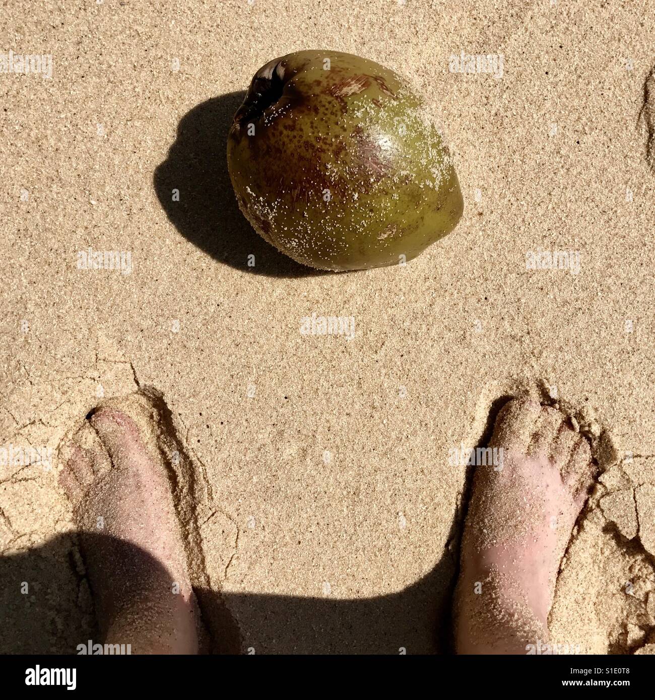 Sri Lankan Fruit High Resolution Stock Photography and Images - Alamy