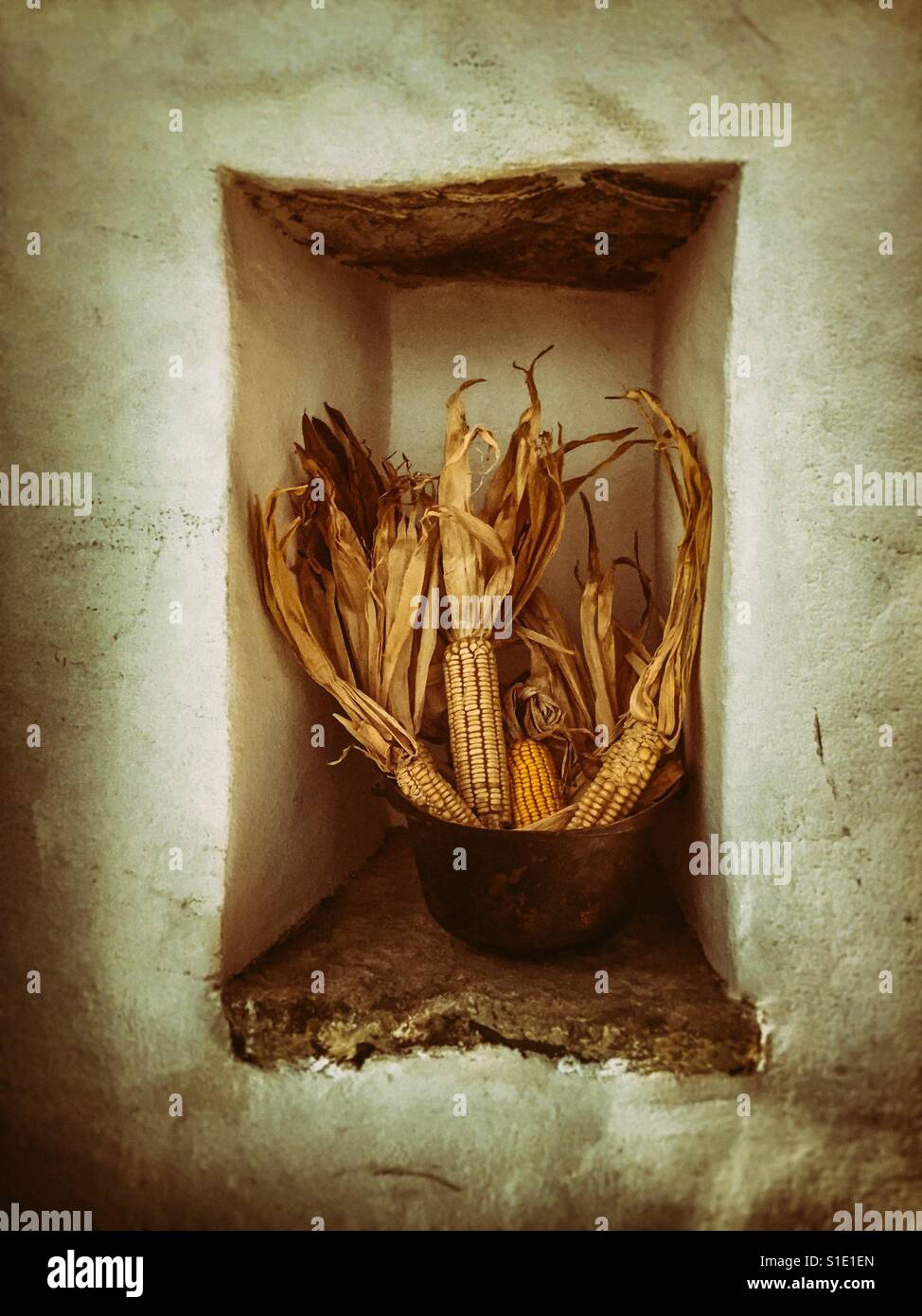 Dried corn arrangement Stock Photo - Alamy